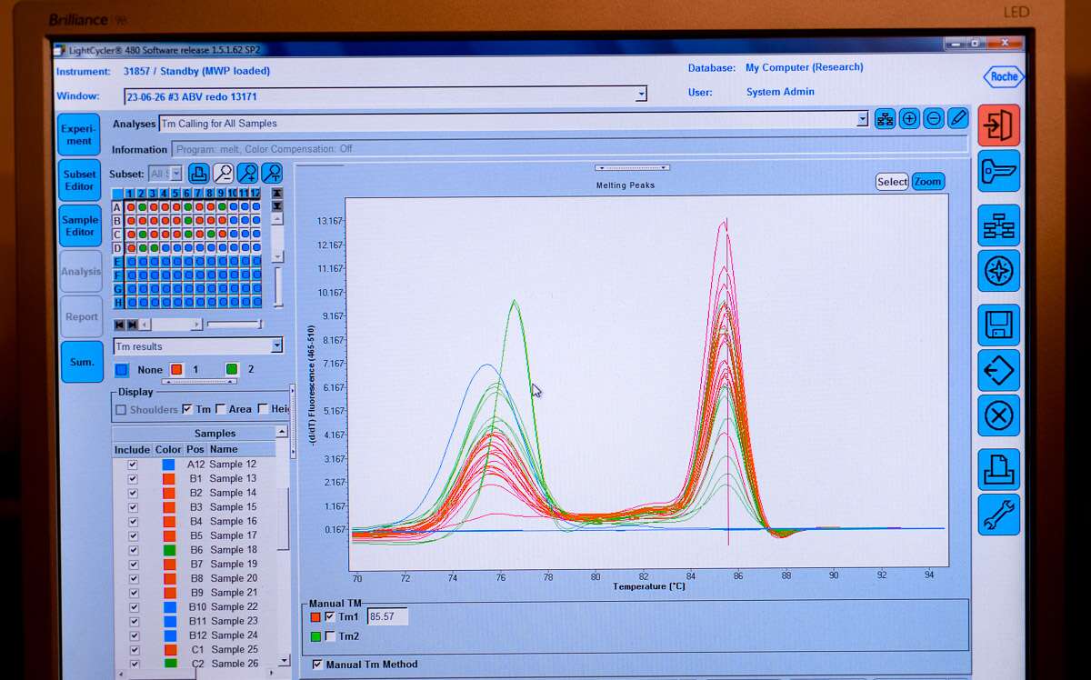 Dirigo Labs spurs innovation: Accelerator program helps startups grow ...