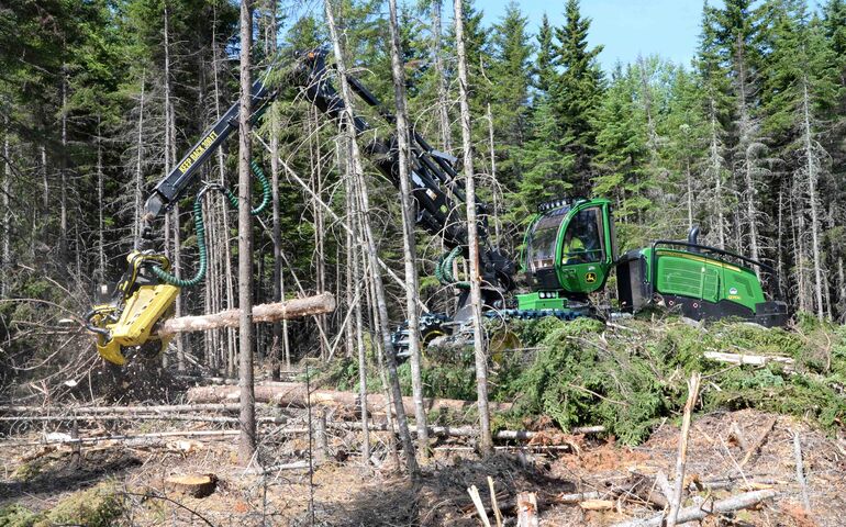 Training for the 'original social distancing profession' — logging — is ...