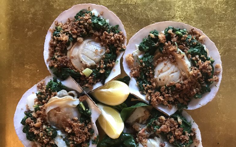 New cookbook promotes Maine's burgeoning farmed scallop sector ...
