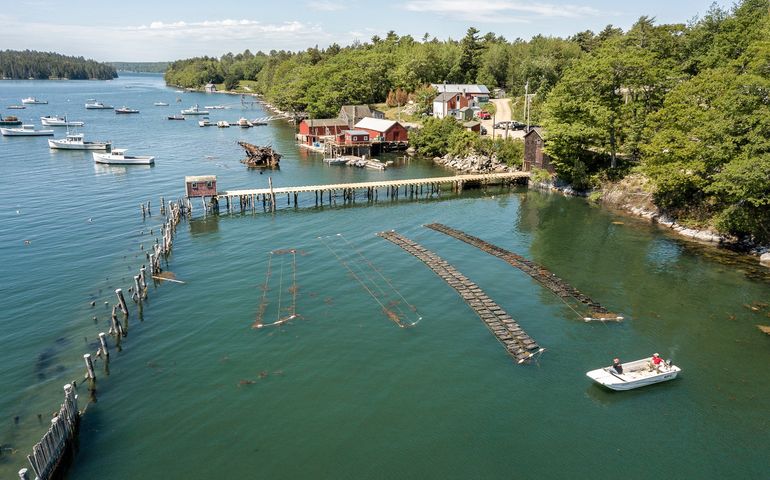 Bremen-based Community Shellfish opens Connecticut outpost | Mainebiz.biz