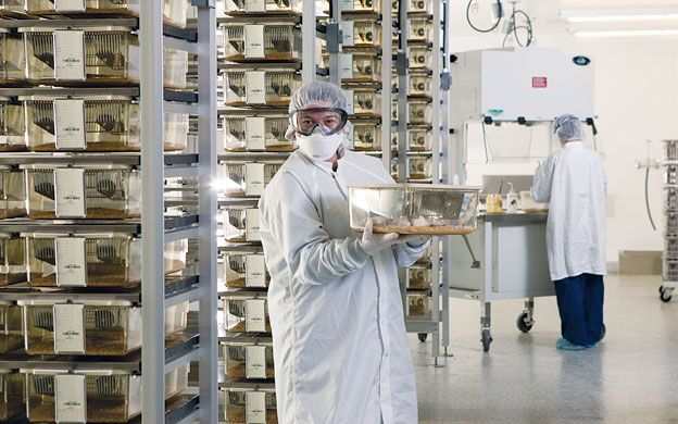 Jackson Lab and its new CEO build a better mouse | Mainebiz.biz