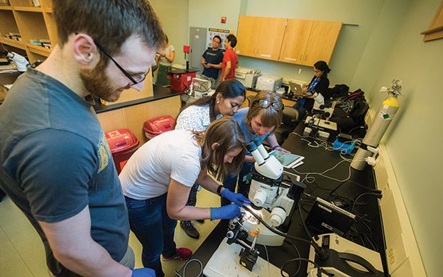 MDI Bio Lab training lab slated to open in March 2017 | Mainebiz.biz